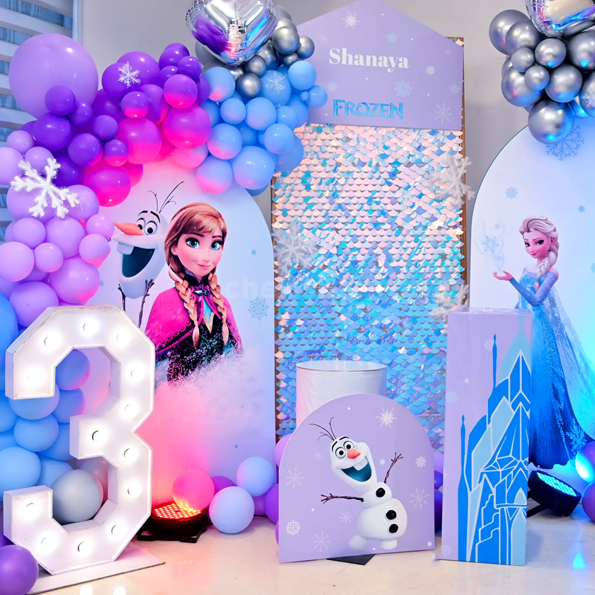 Frozen Birthday Party Background Frozen Theme Square Backdrop